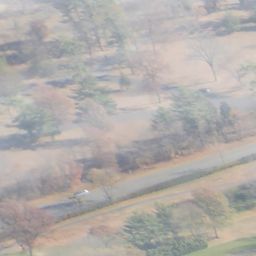 Adelphi University Interactive Campus AnyMap