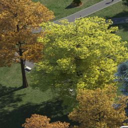 Adelphi University Interactive Campus AnyMap