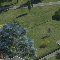 Adelphi University Interactive Campus AnyMap